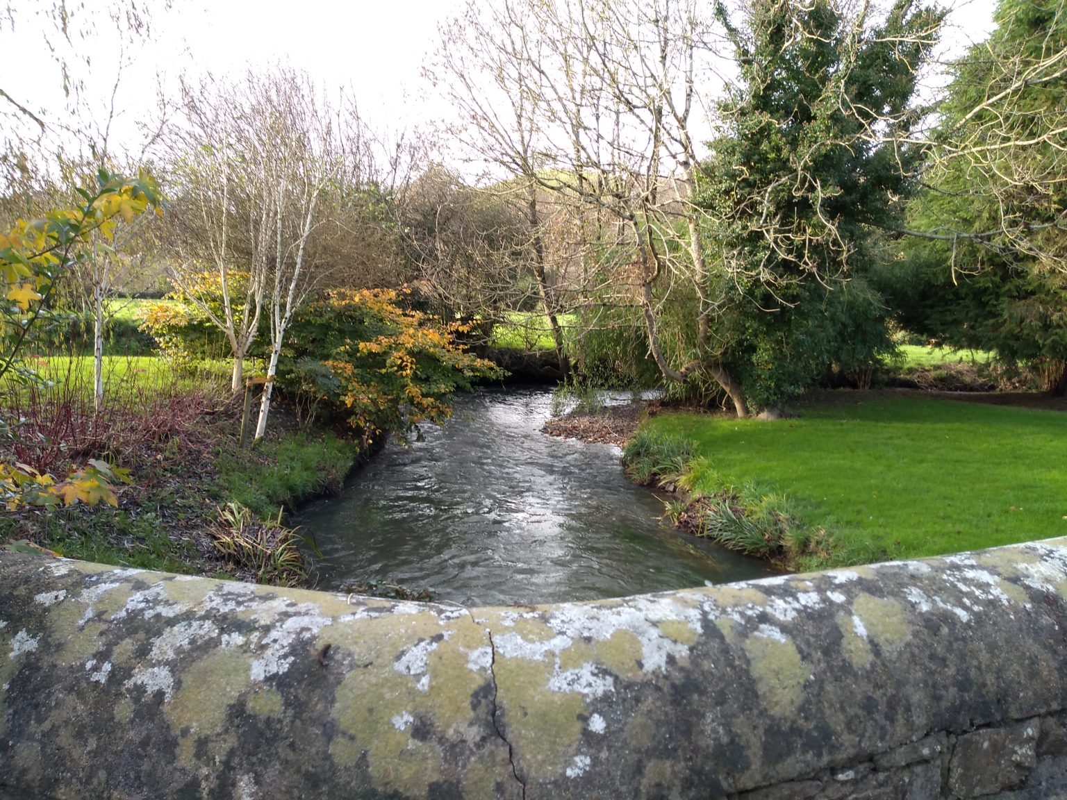 Landkey to Swimbridge Walk > Marcia Clayton